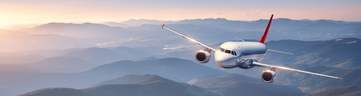 Essential Tips for Booking Flights with Kids