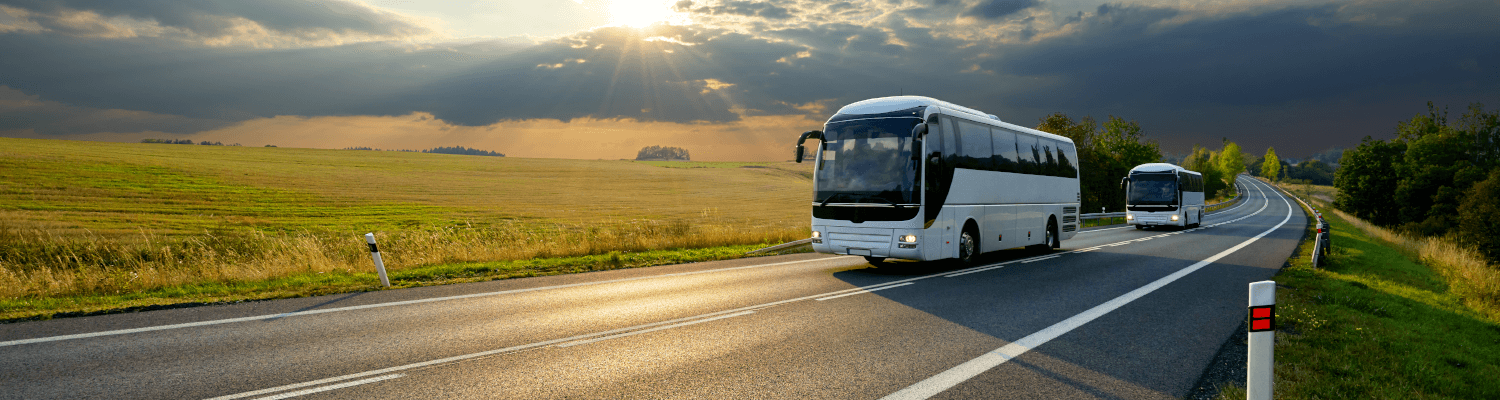 Discovering Different Types of Buses for Long-Distance Adventures