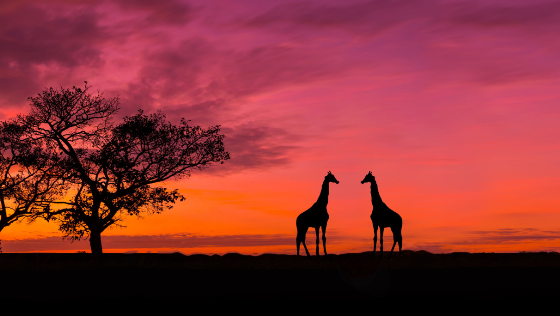 Book Grand Kenya 7Nights