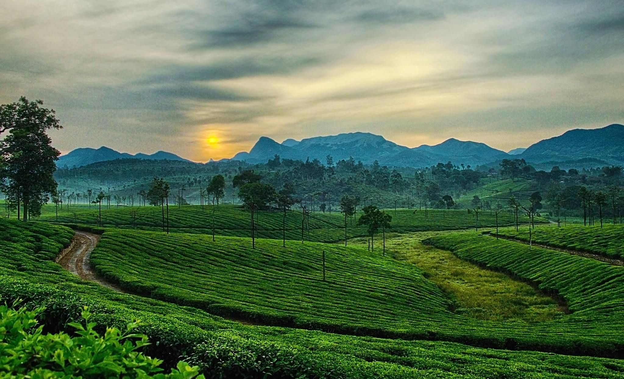 Book Incredible South India