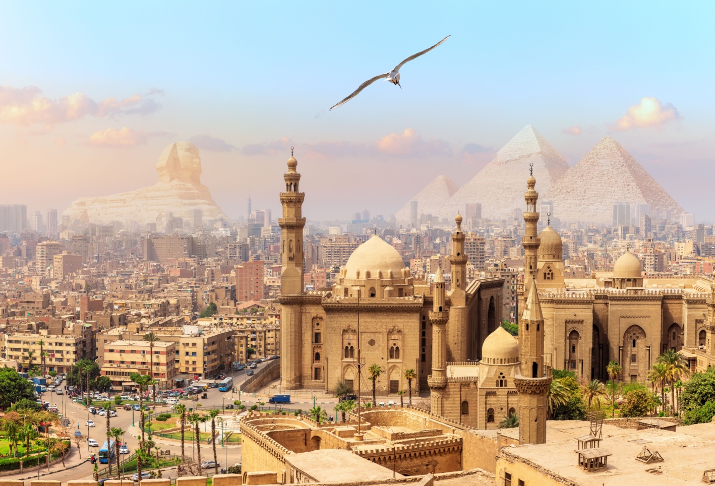 Book Unveiling Egyptian Adventure