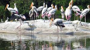 Book Explore Lucknow with Bird Sanctuary