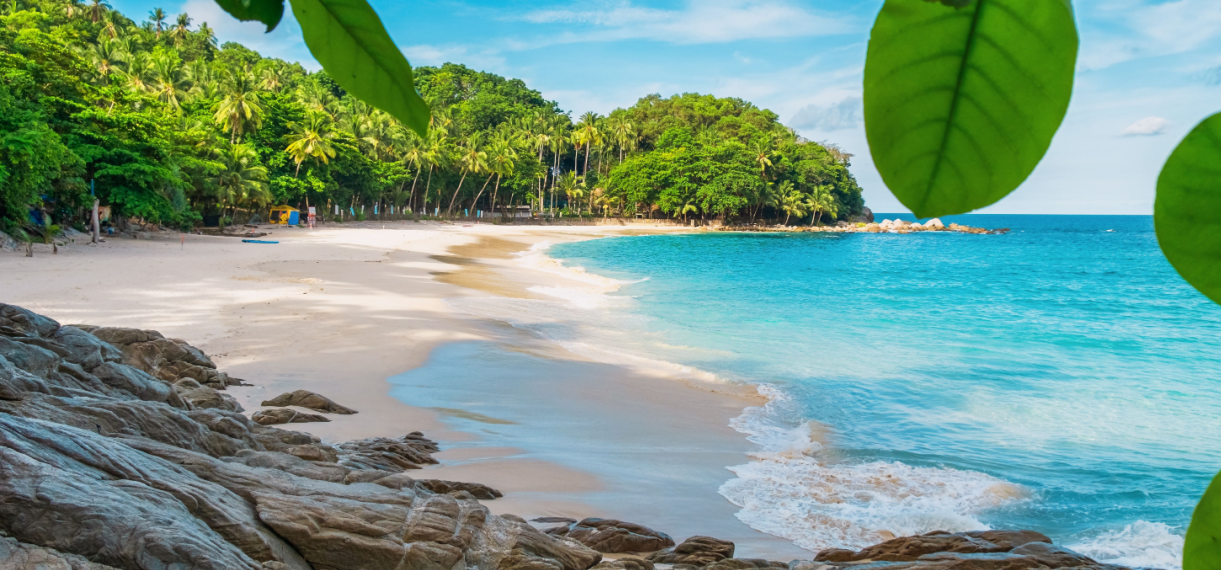 Book Tropical Twin Escape