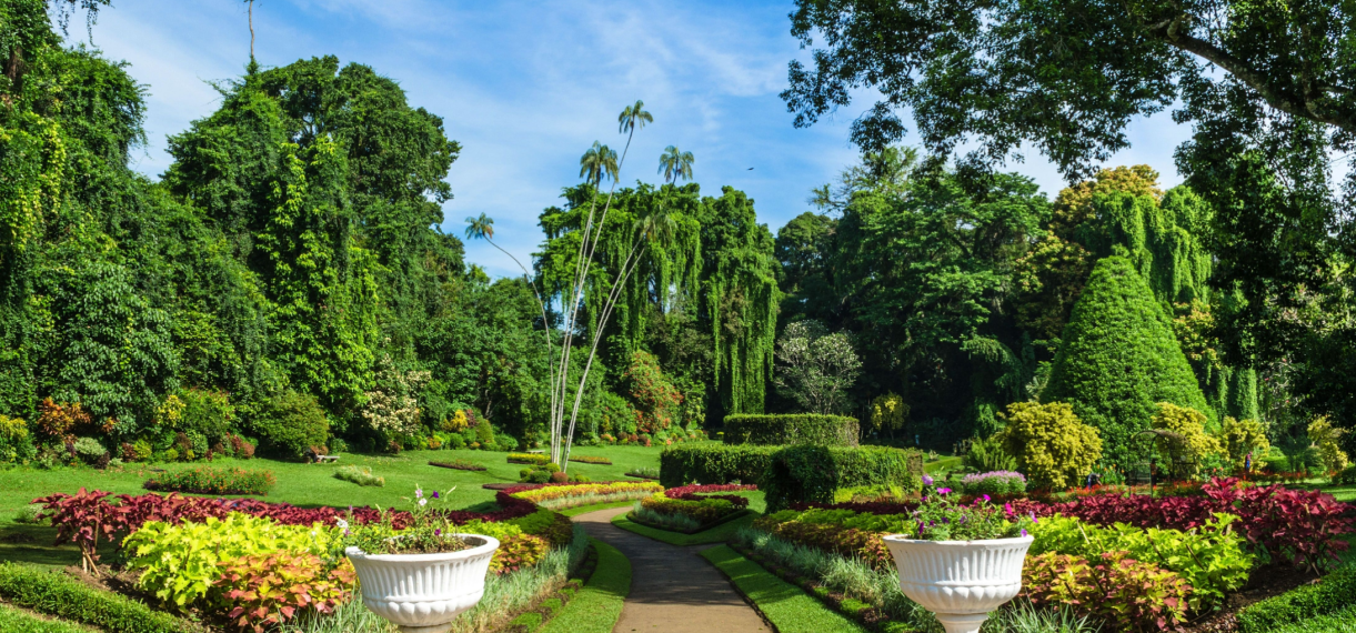 Book Colonial Charm and Coastal Bliss