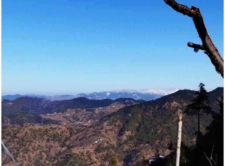 Splendid View Eco Orchard Resort Hotel Rajgarh: Reviews, Price, Photos ...